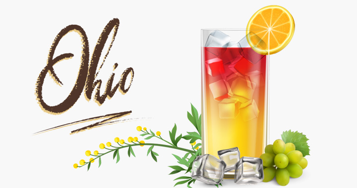 Ohio Whisky Cocktail | Rezept, Zubehör, Zutaten, Tipps